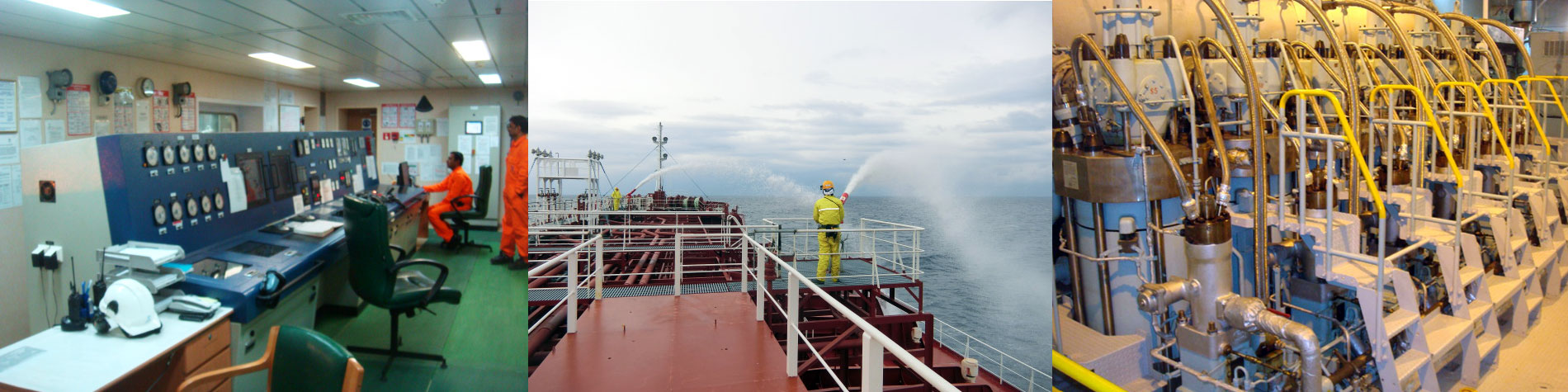 Our Services & Achivements